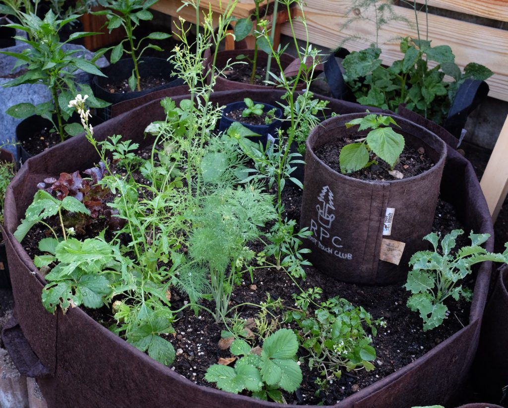 Root Pouch 100 gallons bagged garden | W.H. Perron