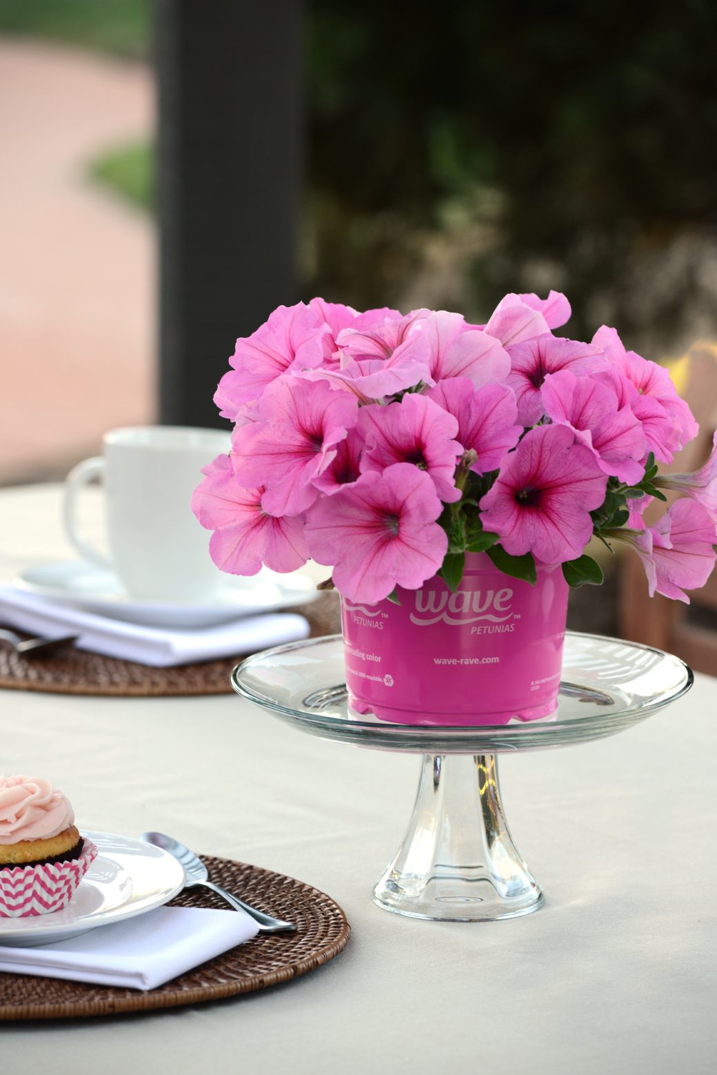 Petunia Easy Wave® Pink Passion F1 | W.H. Perron