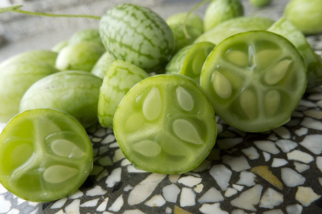 Cucumber Mouse Melon | W.H. Perron