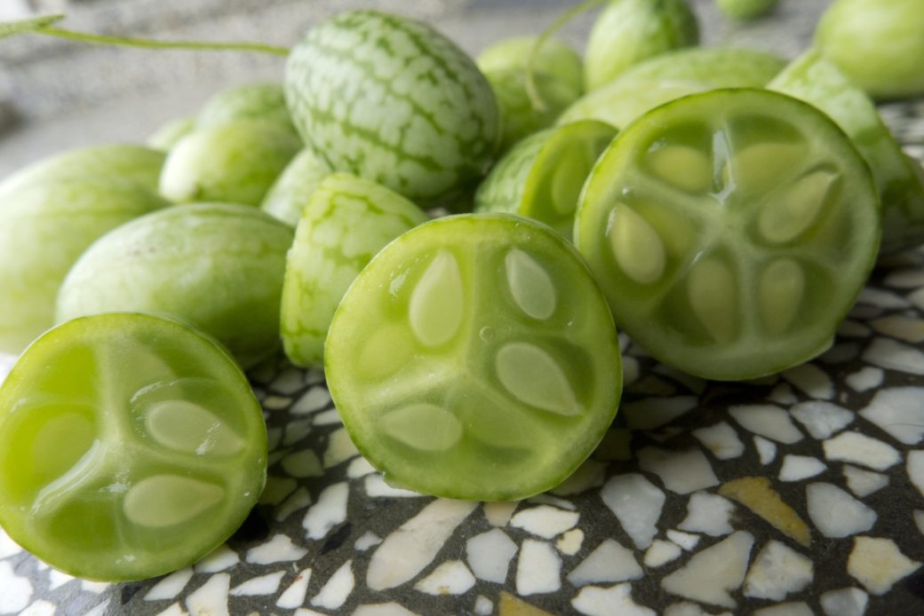 Cucumber Mouse Melon | W.H. Perron