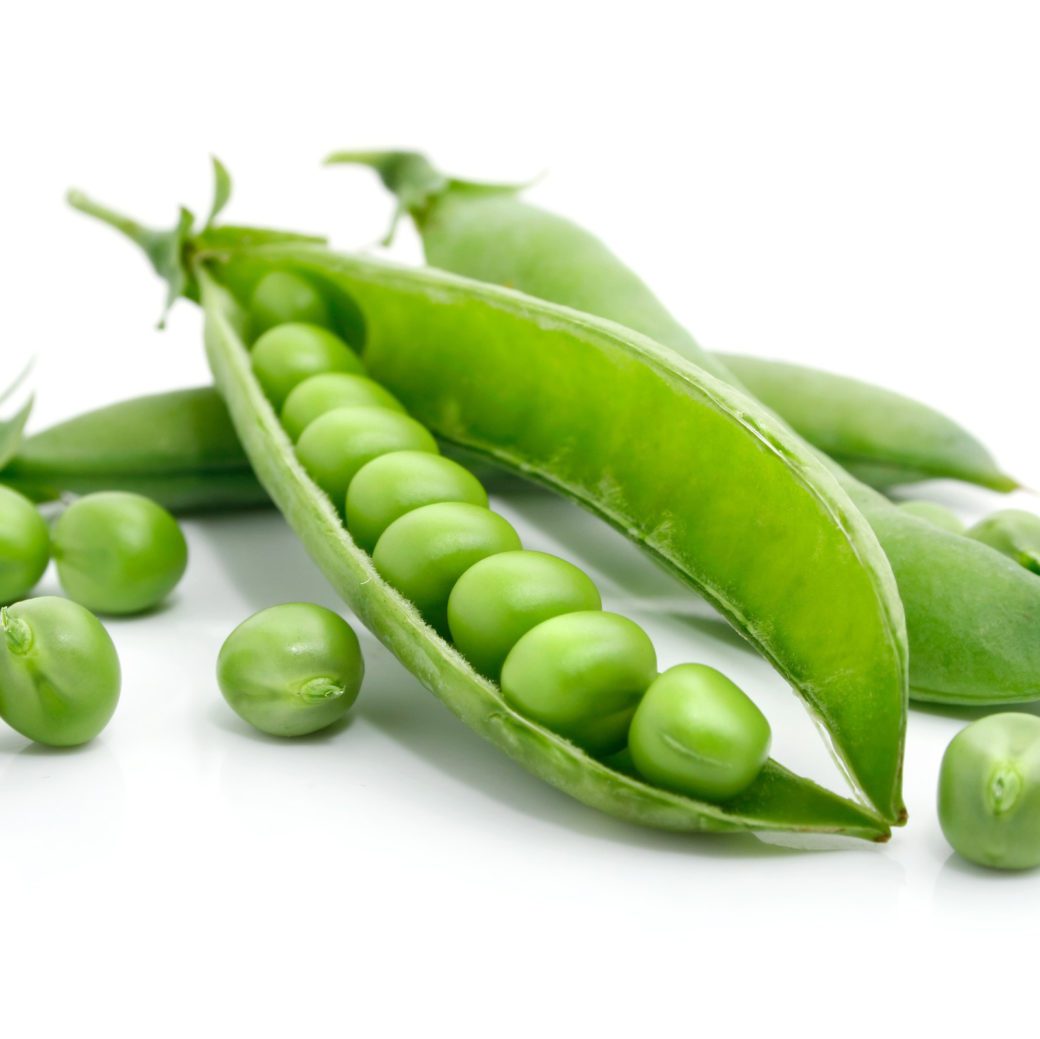 Pea Little Marvel | W.H. Perron