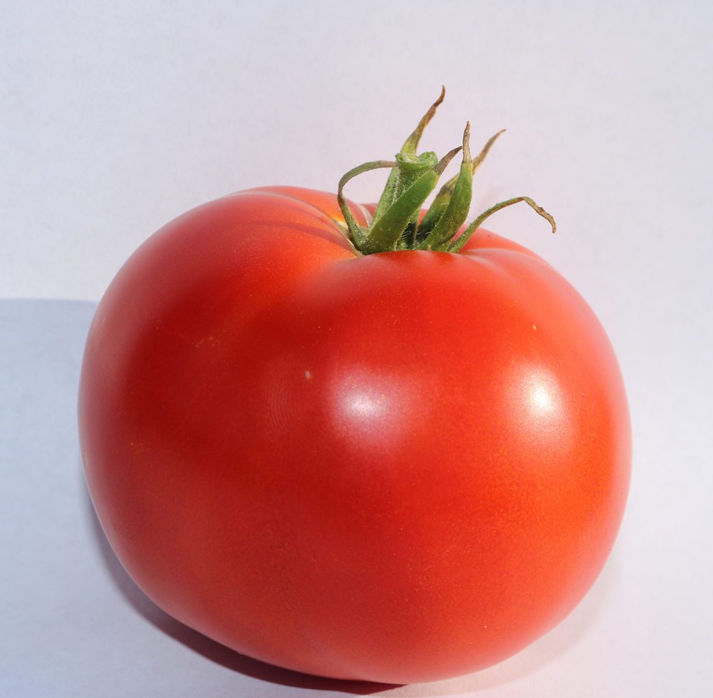 Tomato Big Beef Plus F1 | W.H. Perron
