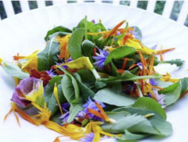 Edible flowers | W.H. Perron