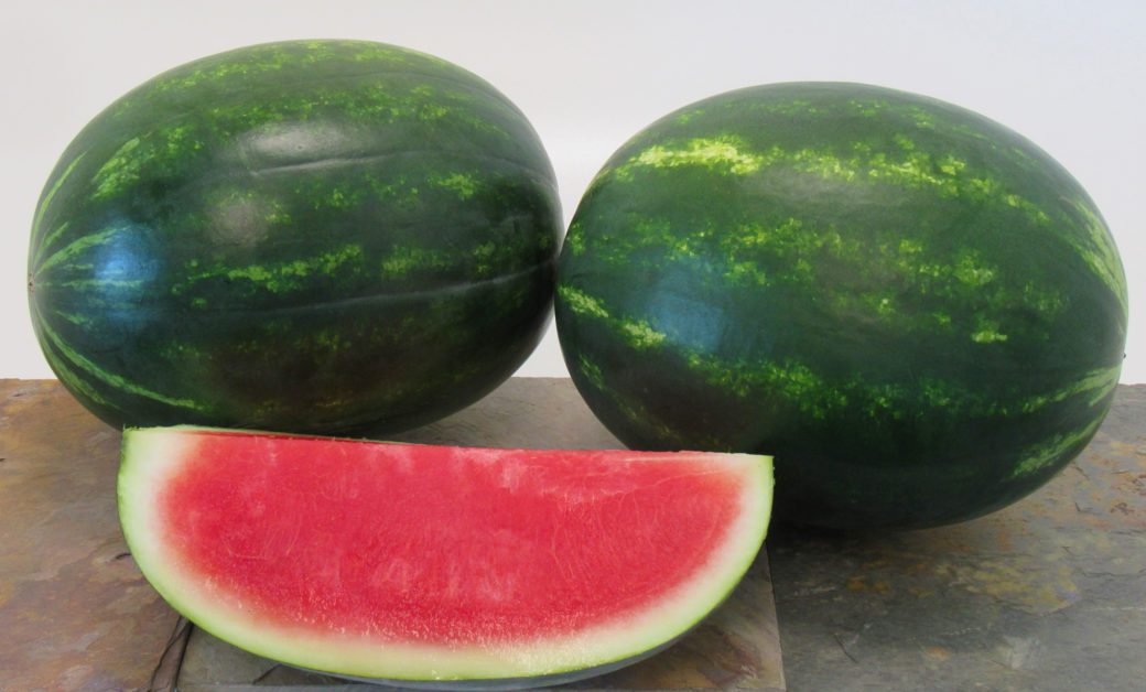 Watermelon Seedless Cracker Jack Red F1 | W.H. Perron
