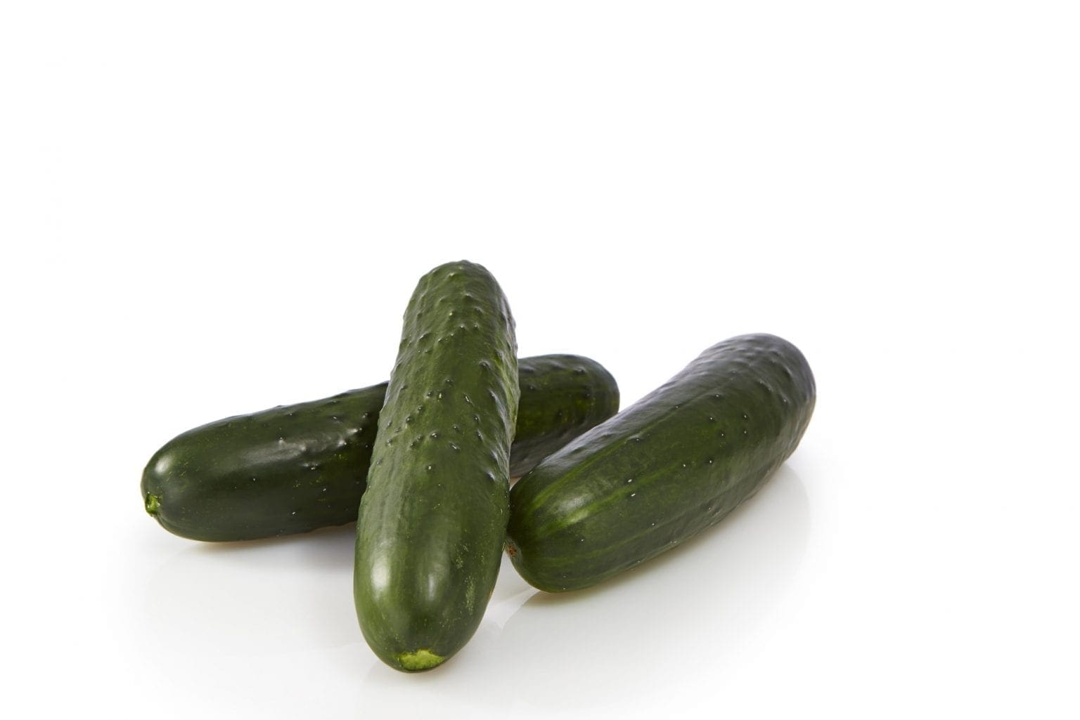 Concombre Bristol F1 | W.H. Perron