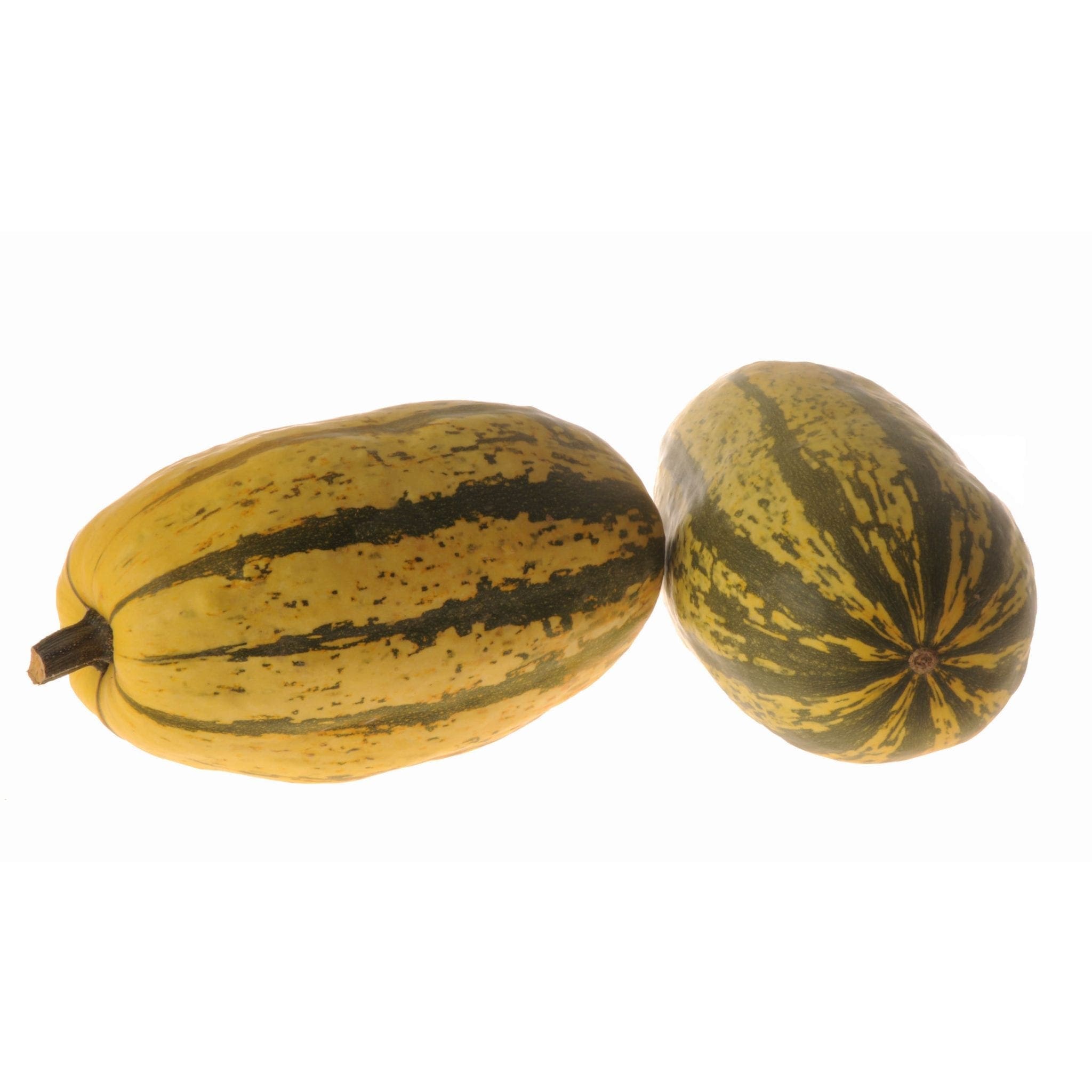 Courge Stripetti F1 | W.H. Perron