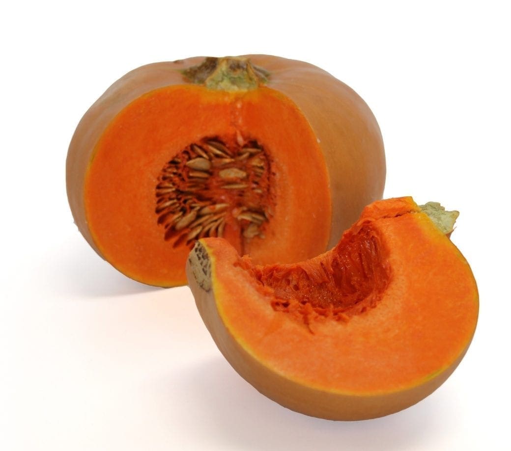 Courge Butterkin F1 | W.H. Perron