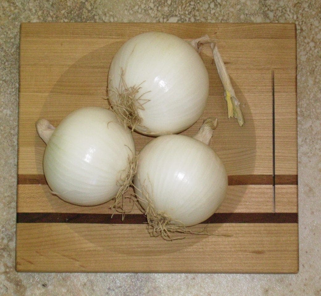 Oignon White Wing F1 | W.H. Perron