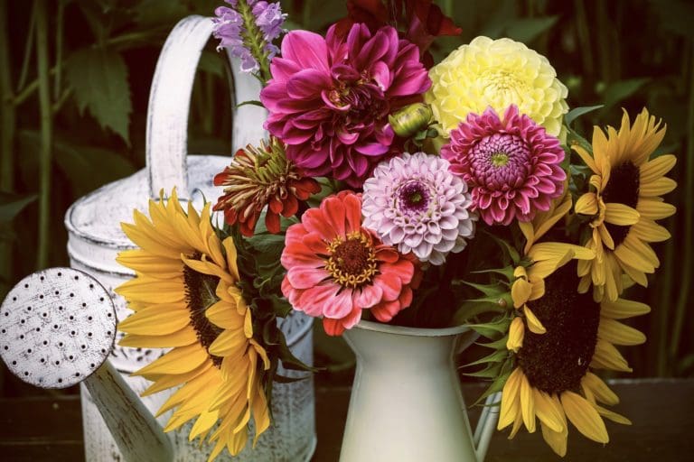 Les fleurs coupées | W.H. Perron